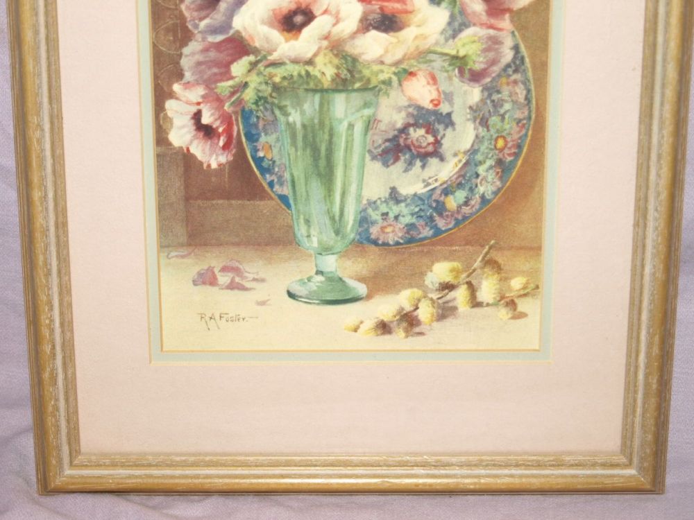 Framed Print by R A Foster Anemones Still Life.