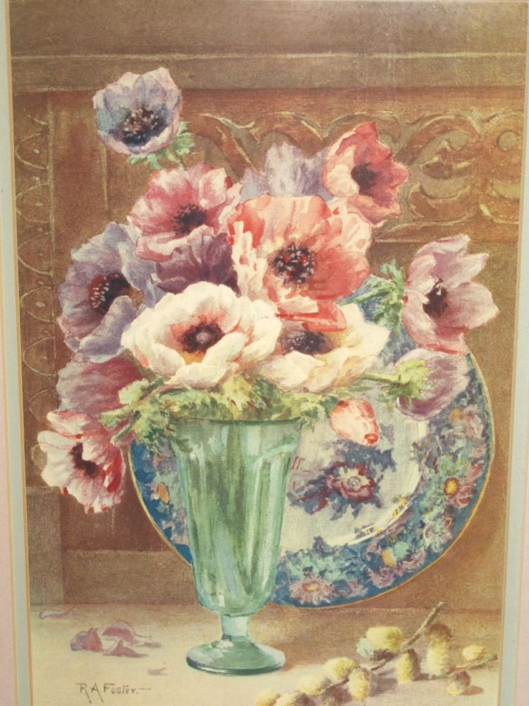 Framed Print by R A Foster Anemones Still Life.