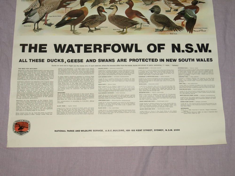 National Parks & Wildlife Poster, The Waterfowl of New South Wales.