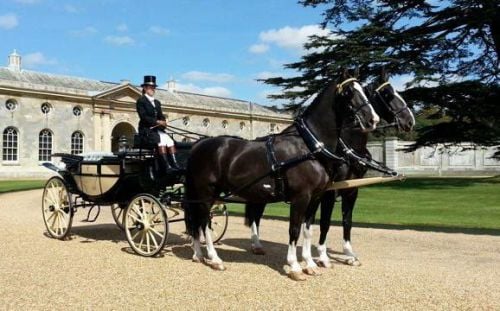 Stunning classic horse & carriages for weddings, Beautiful matched ...