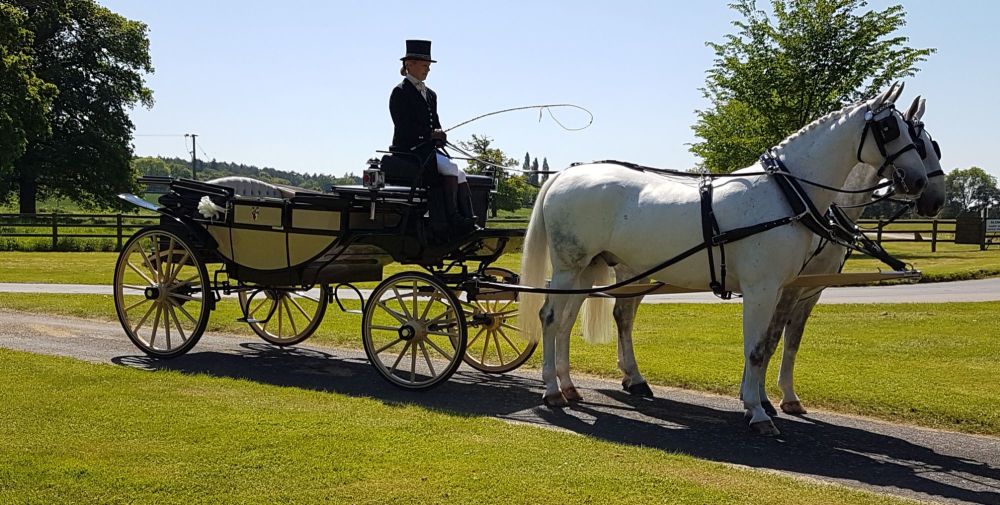 Stunning classic horse & carriages for weddings, Beautiful matched ...