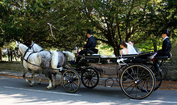 Wedding Carriages