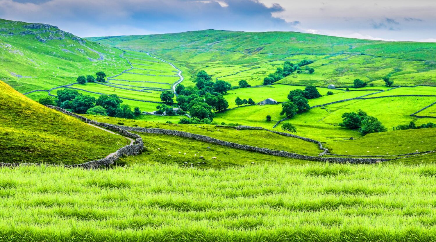 3) BACKDROPS, for larger stage areas - Pop-Up Flats packages