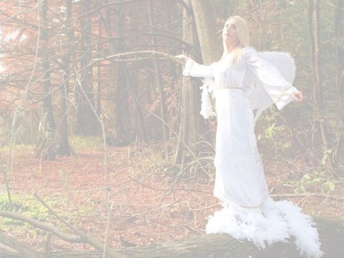 reading cards (intermediate)