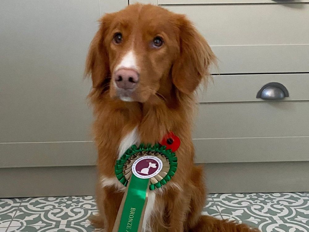 Kennel Club Good Citizen Dog Scheme