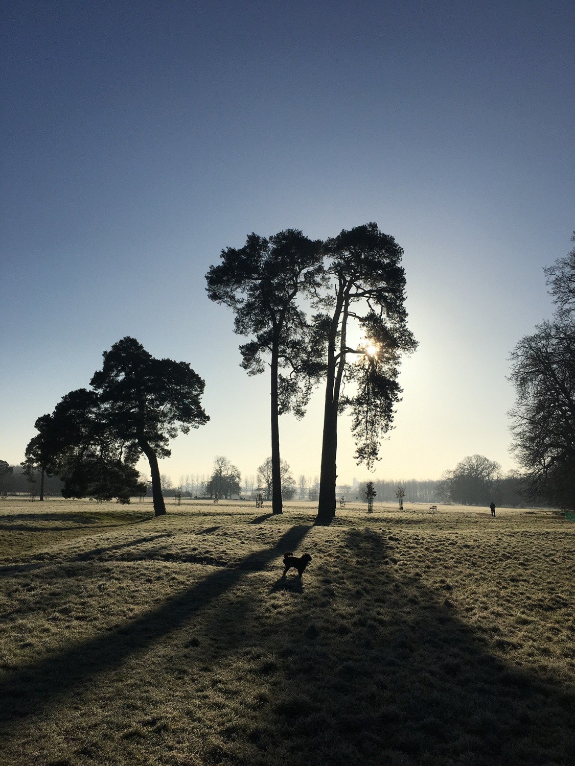 Top 10 Places to Visit in Towcester
