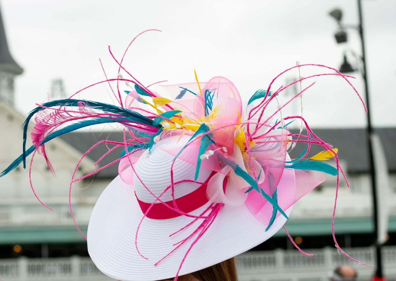 Ladies hats to hire and purchase for Special Occasions