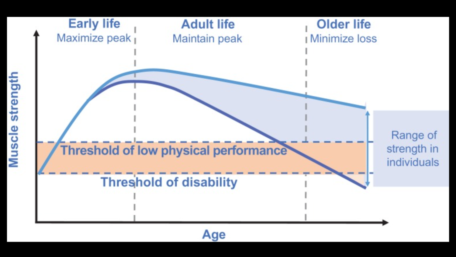 A NUTRIENT-DENSE DIET TO OPTIMISE MUSCLE HEALTH IN OLDER ADULTS by Dove ...
