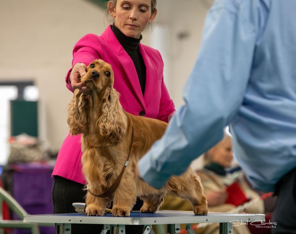 News and Results 2023