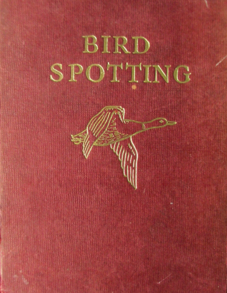 Tom holland bird box - plumzoqa