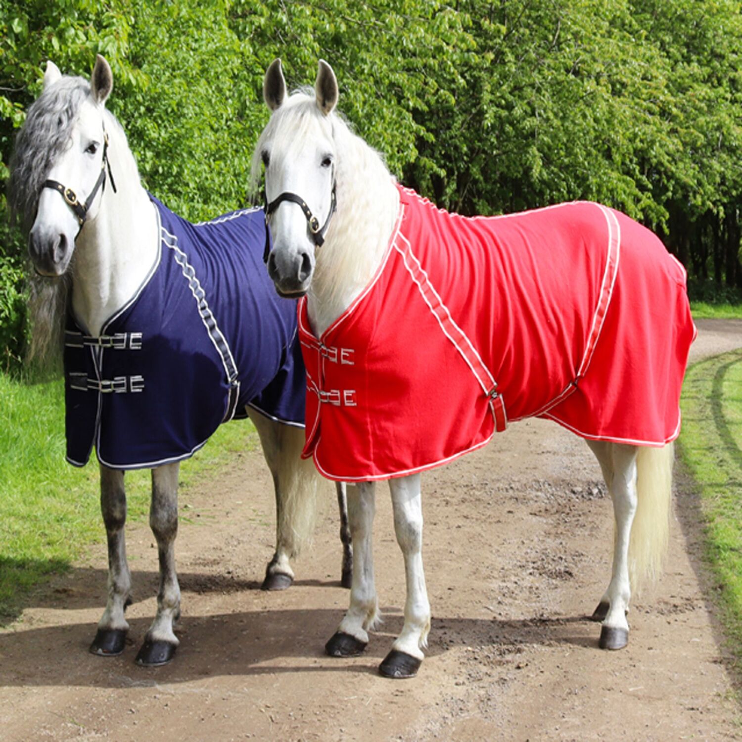 Personalised Horse Rugs, personalised pony rug, embroidered horse wear ...