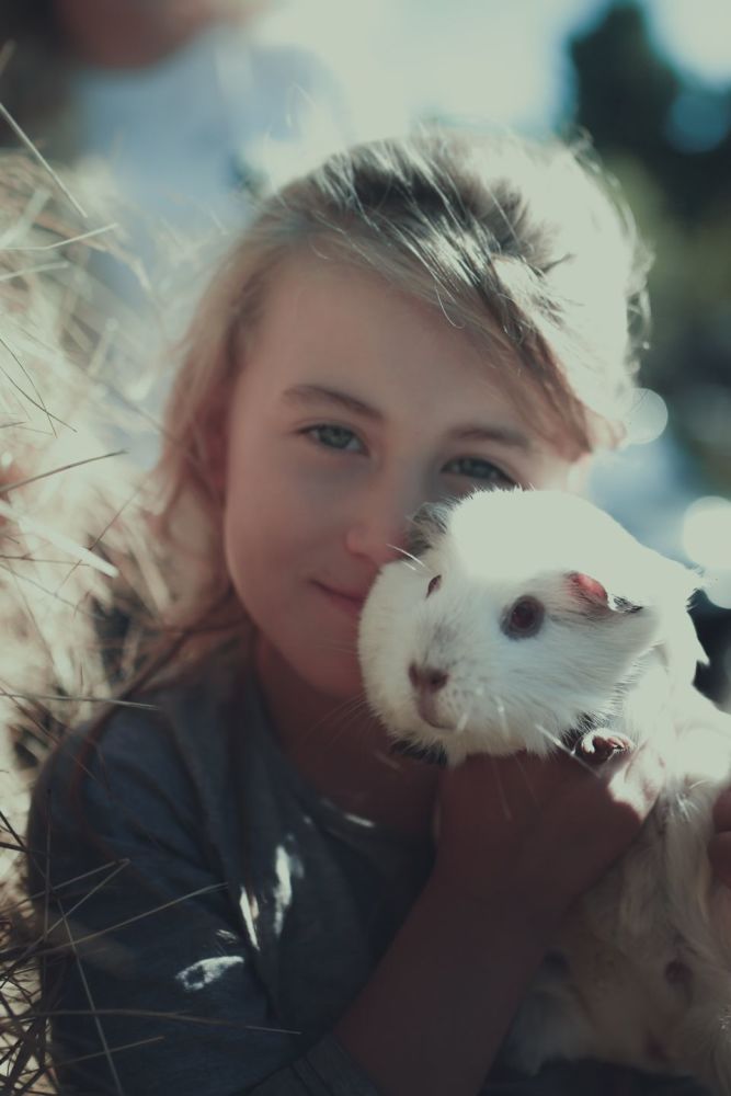 Re-Homing - BFAS (Brook Farm Animal Sanctuary) - Raunds, Northamptonshire