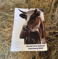 BFAS (Brook Farm Animal Sanctuary) - Raunds, Northamptonshire
