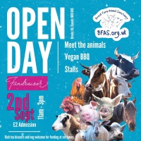 BFAS (Brook Farm Animal Sanctuary) - Raunds, Northamptonshire