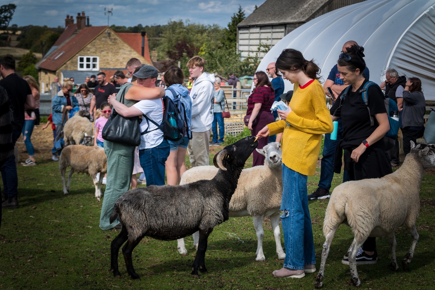 BFAS (Brook Farm Animal Sanctuary) - Raunds, Northamptonshire