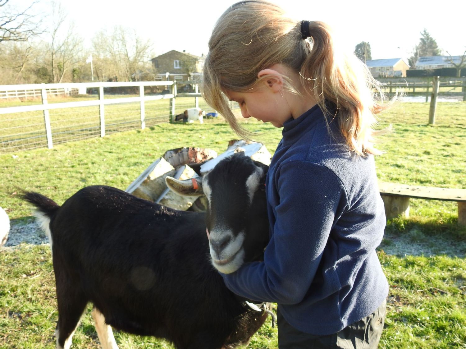 Be an Animal Ranger during the school holidays