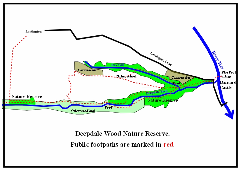 Deepdale Nature Reserve