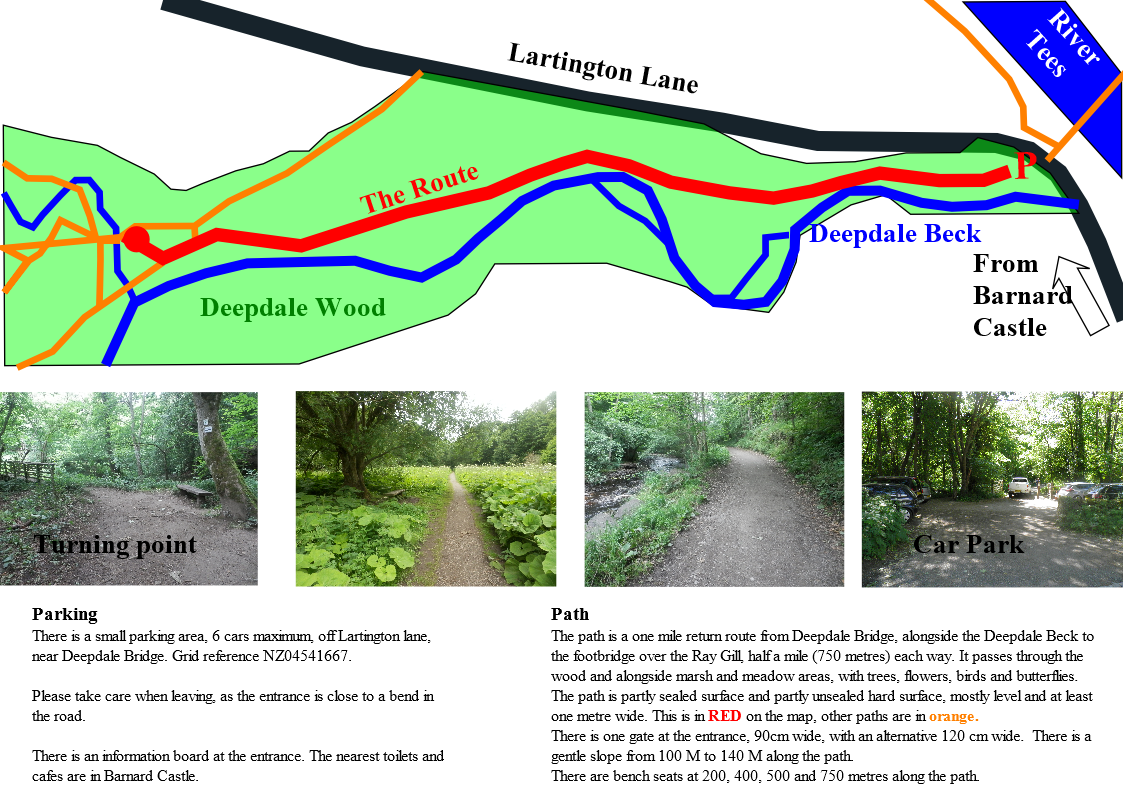 Deepdale Nature Reserve