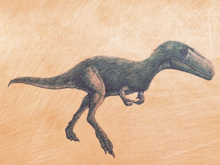 Timurlengia euotica (Tyrannosauroid) - Shop