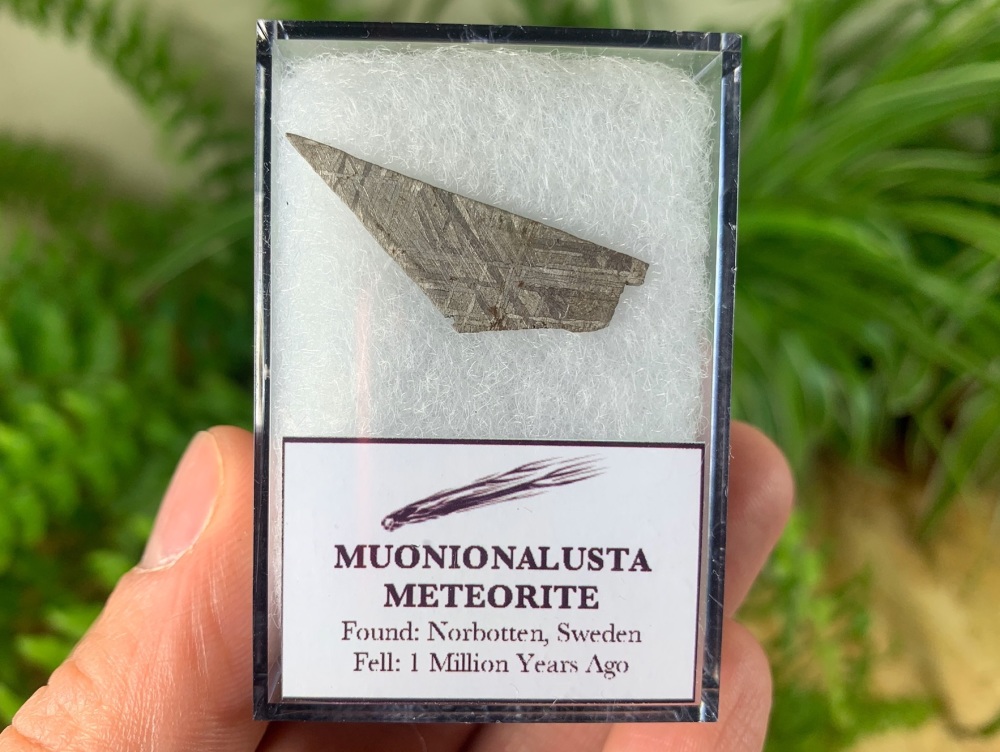 Meteorites & Rock Samples - Shop