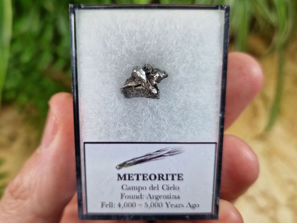 Meteorites & Rock Samples - Shop