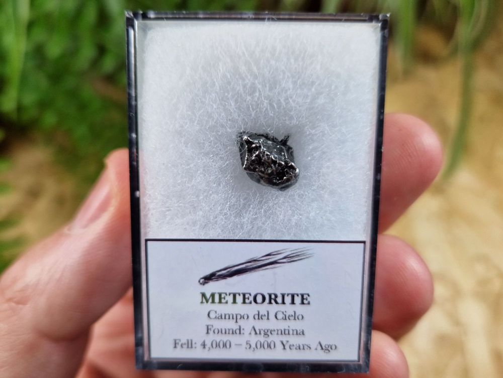 Meteorites & Rock Samples - Shop