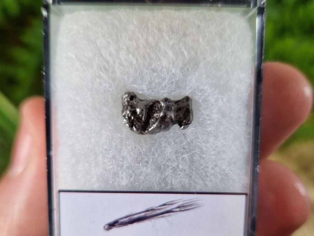 Meteorites & Rock Samples - Shop