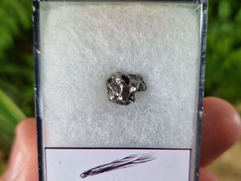 Meteorites & Rock Samples - Shop