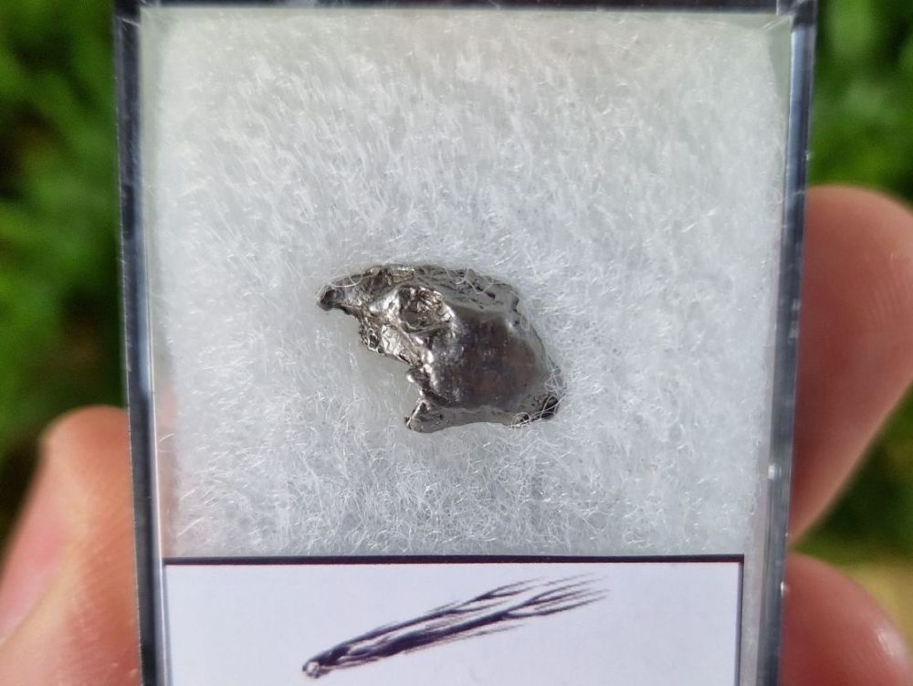 Meteorites & Rock Samples - Shop