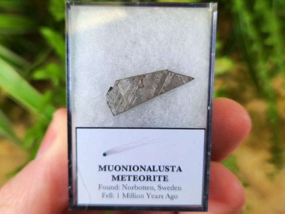 Meteorites & Rock Samples - Shop