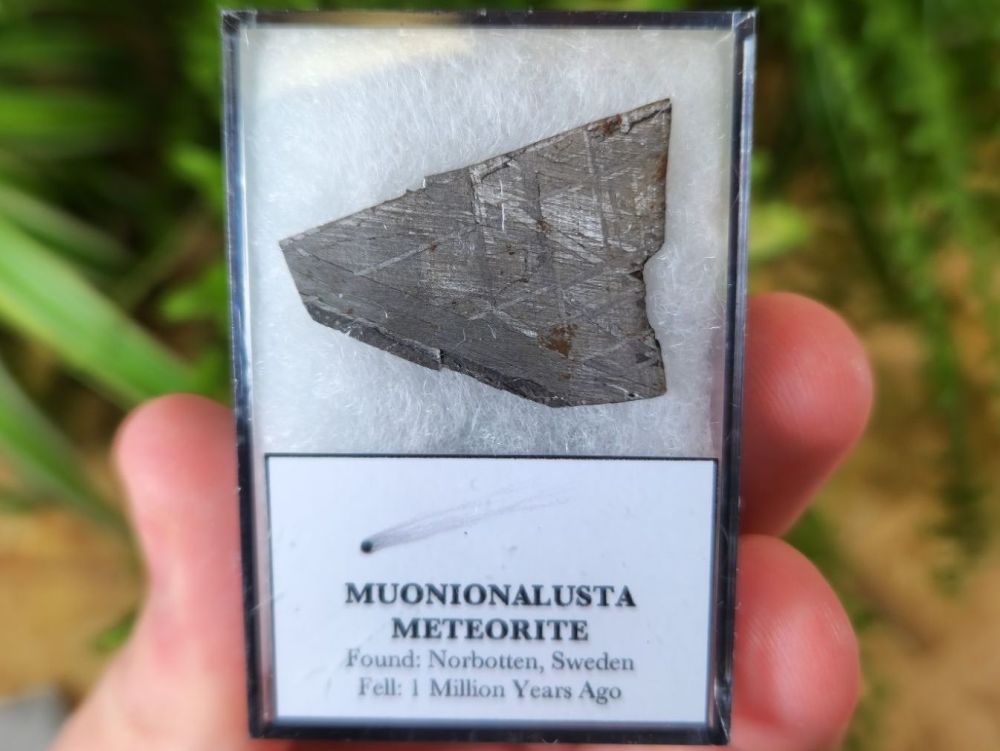 Meteorites & Rock Samples - Shop