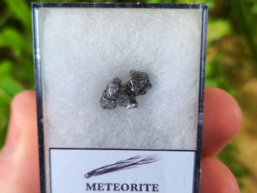 Meteorites & Rock Samples - Shop