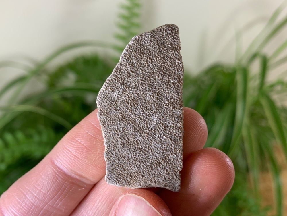 New Additions - Shop - Page 12