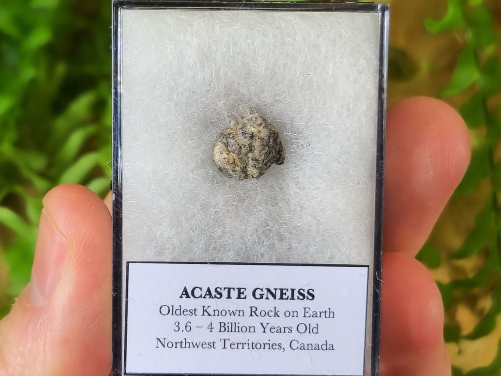 Meteorites & Rock Samples - Shop