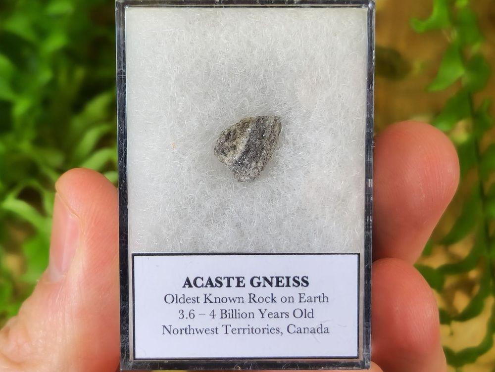Meteorites & Rock Samples - Shop