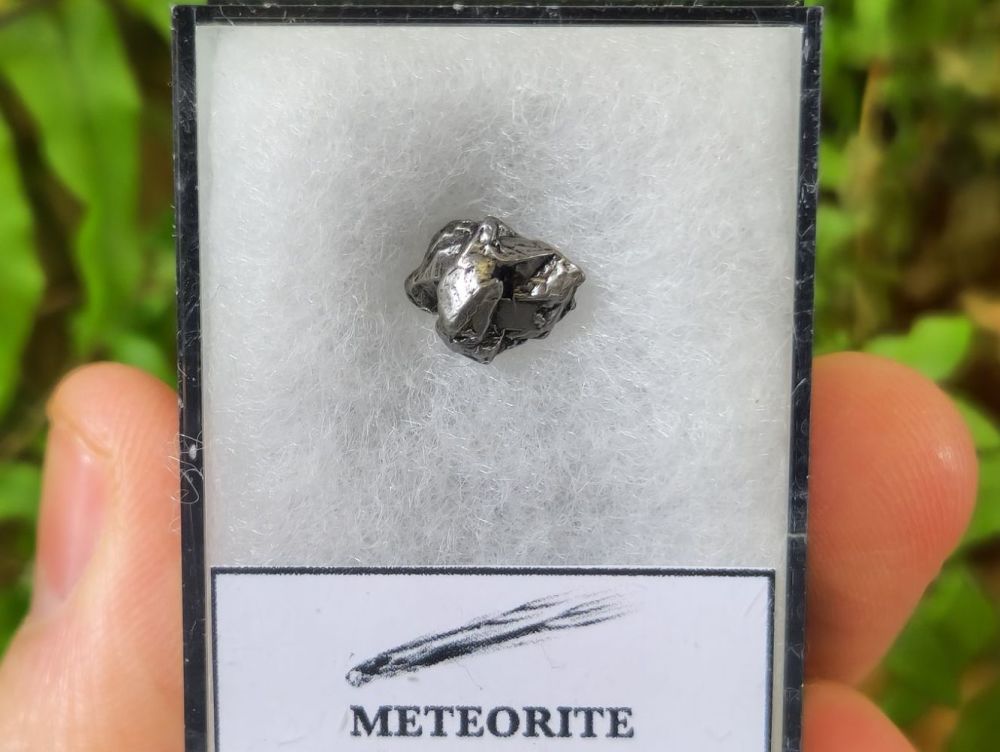 Meteorites & Rock Samples - Shop