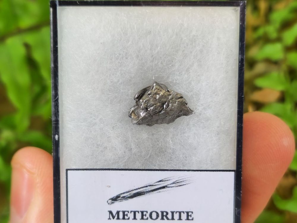 Meteorites & Rock Samples - Shop