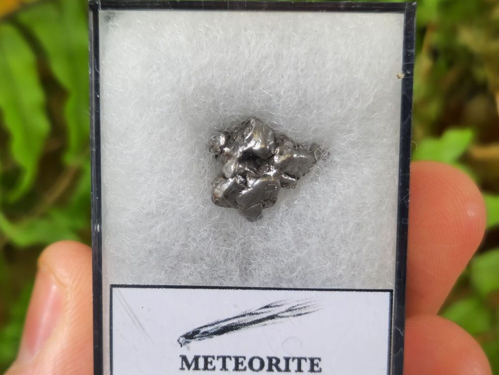 Meteorites & Rock Samples - Shop