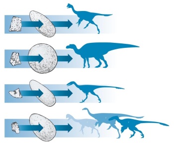 A Guide to Dinosaur Eggs