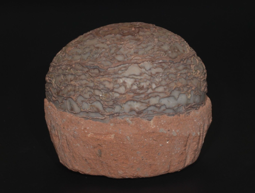 A Guide to Dinosaur Eggs