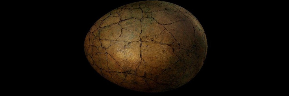 A Guide to Dinosaur Eggs