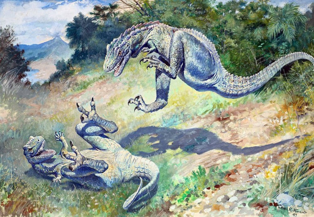 An Introduction to Dinosaurs