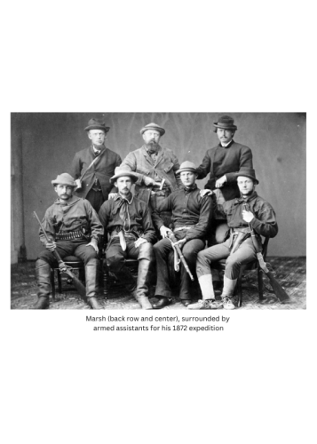 An Introduction to Dinosaurs