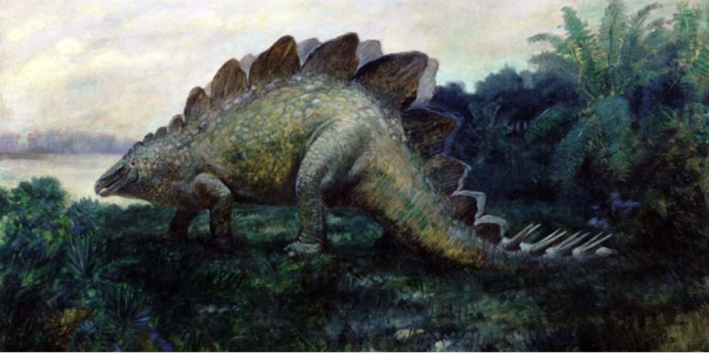 An Introduction to Dinosaurs