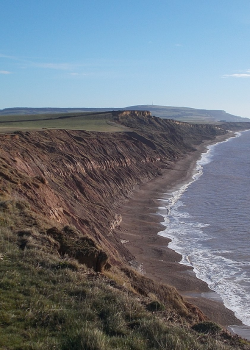 The Cretaceous Period