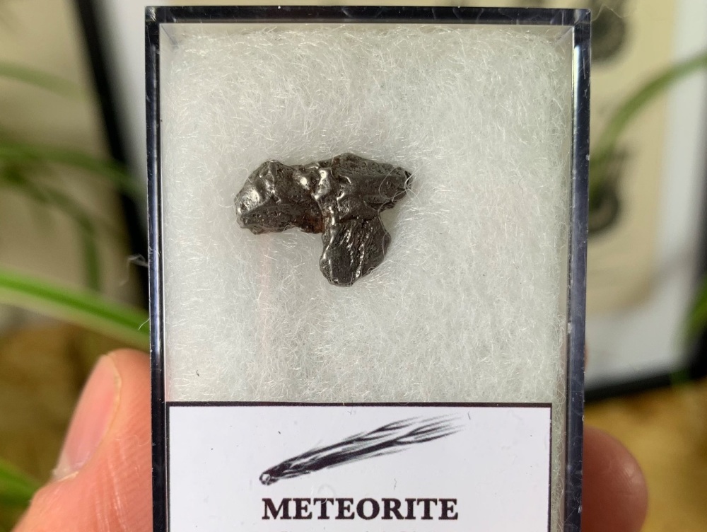 Meteorites & Rock Samples - Shop