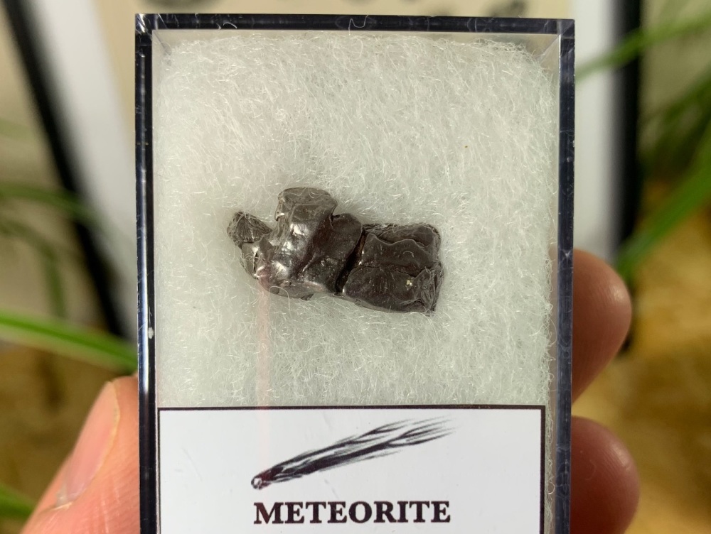 Meteorites & Rock Samples - Shop