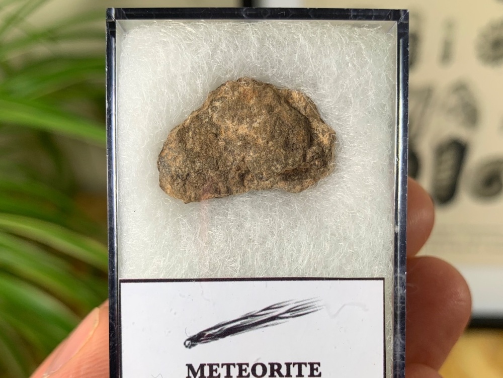 Meteorites & Rock Samples - Shop
