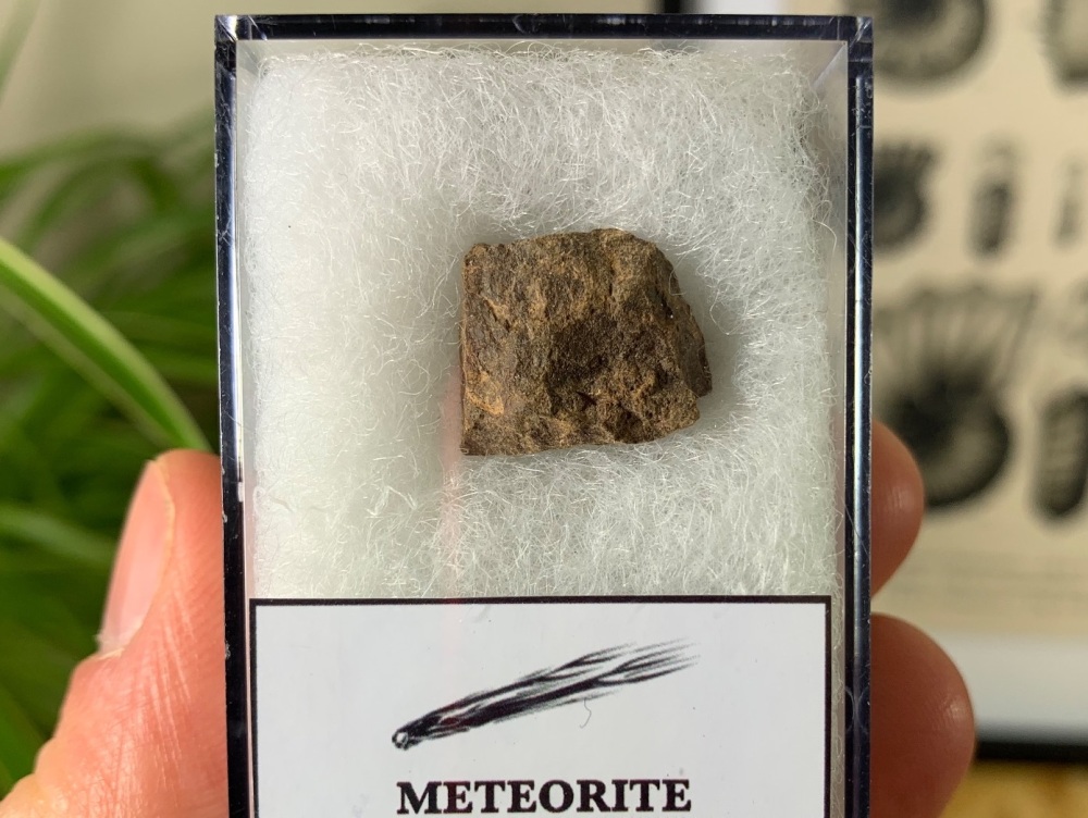 Meteorites & Rock Samples - Shop