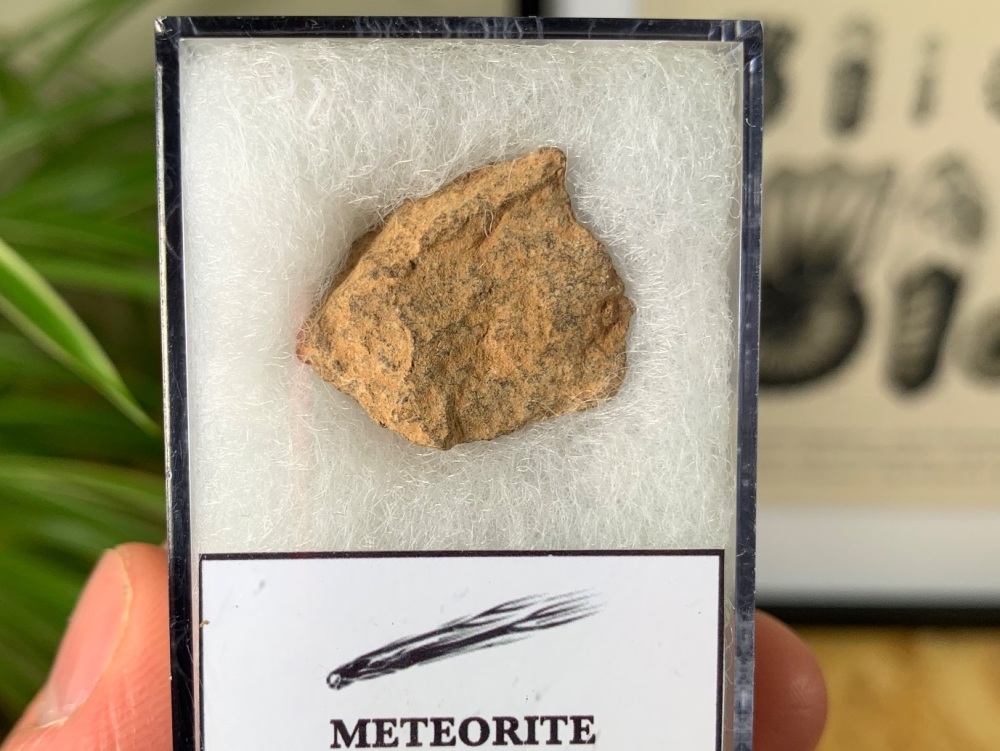 Meteorites & Rock Samples - Shop